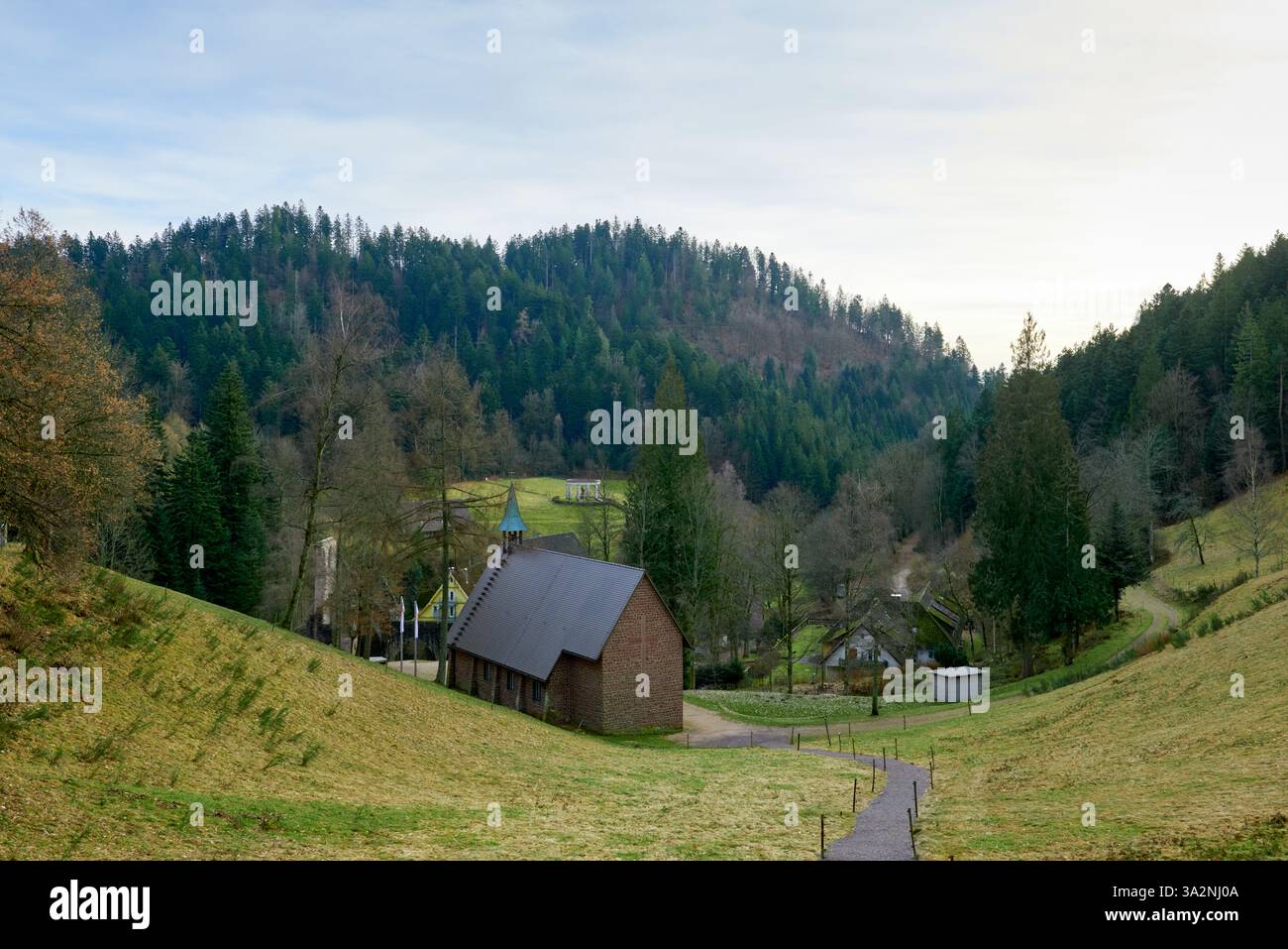 Discover the enchanting beauty of the Black Forest region in this ...
