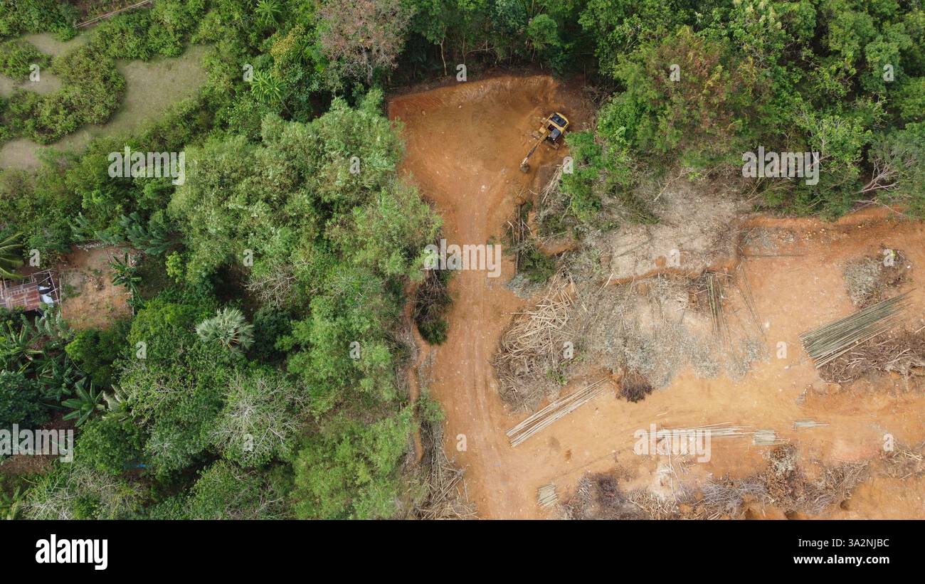 Aerial forest view showing carbon hi-res stock photography and images - Alamy