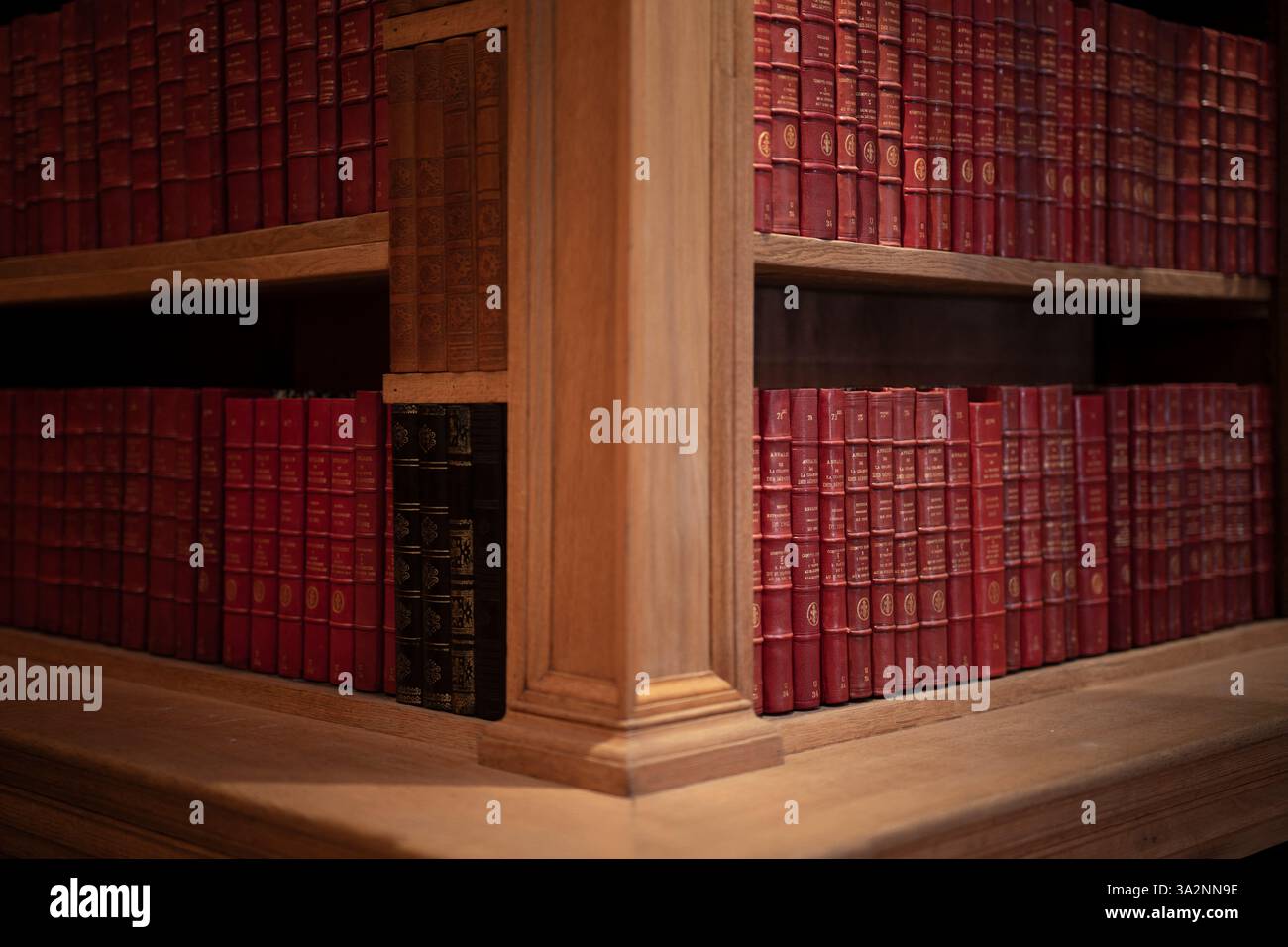 Paris, France. 13th Mar, 2025. After a year of restoration work, the ...