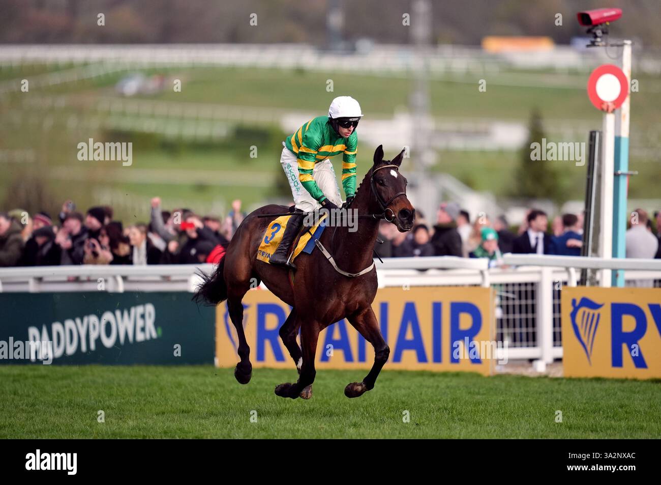 Fact To File and jockey Mark Walsh win the Ryanair Chase on day three ...