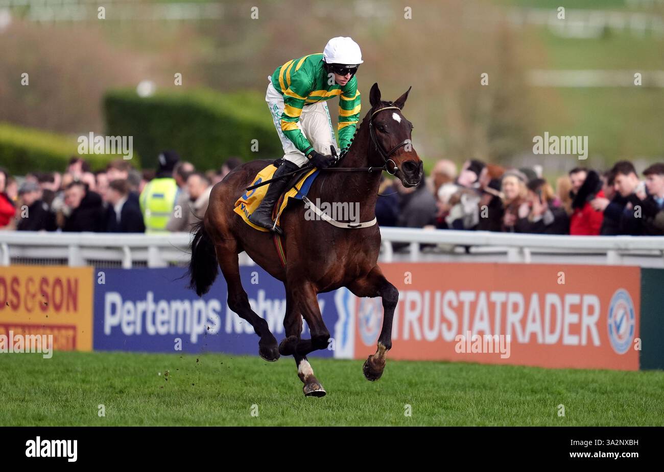 Fact To File and jockey Mark Walsh win the Ryanair Chase on day three ...