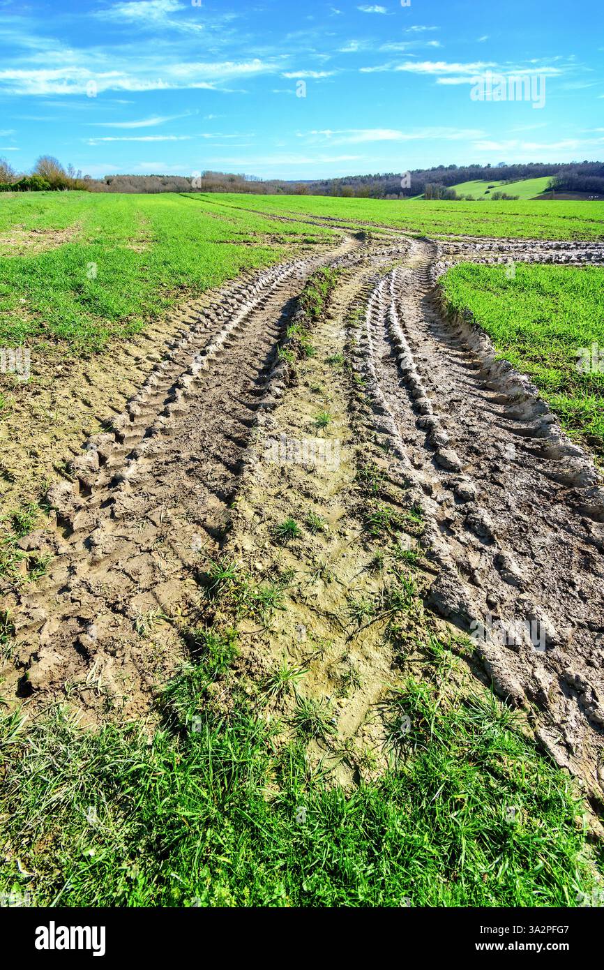 Mud ruts hi-res stock photography and images - Alamy