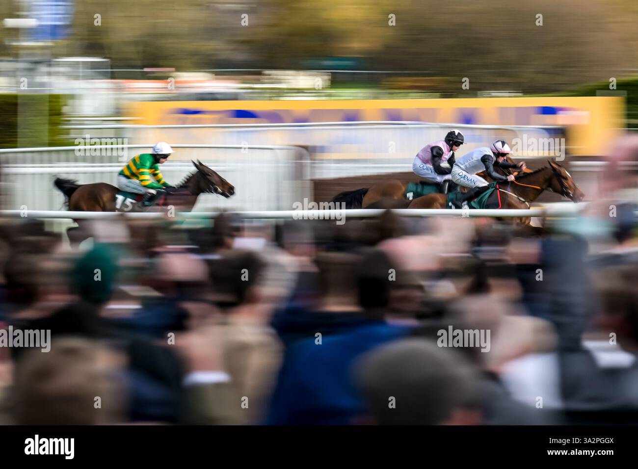 Rachel Blackmore running in second on Bob Olinger in the Paddy Powers ...