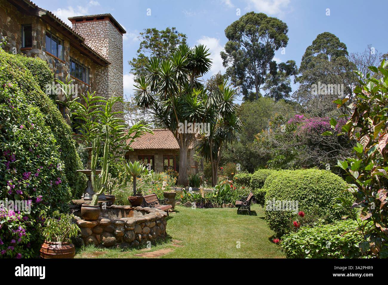 Garden view at the rear of the house. The Sorsbie Residence, Nairobi ...