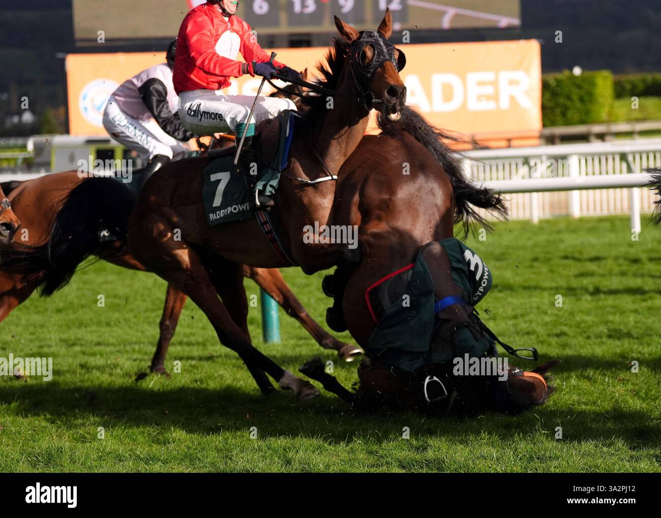 Crambo ridden by jockey Jonathan Burke falls during the Paddy Power Stayers' Hurdle on day three ...