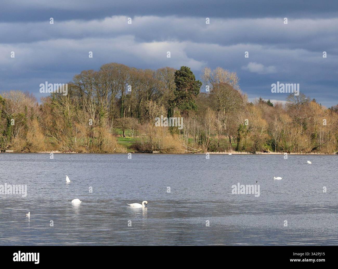 Lurgan park march 2025 hi-res stock photography and images - Alamy