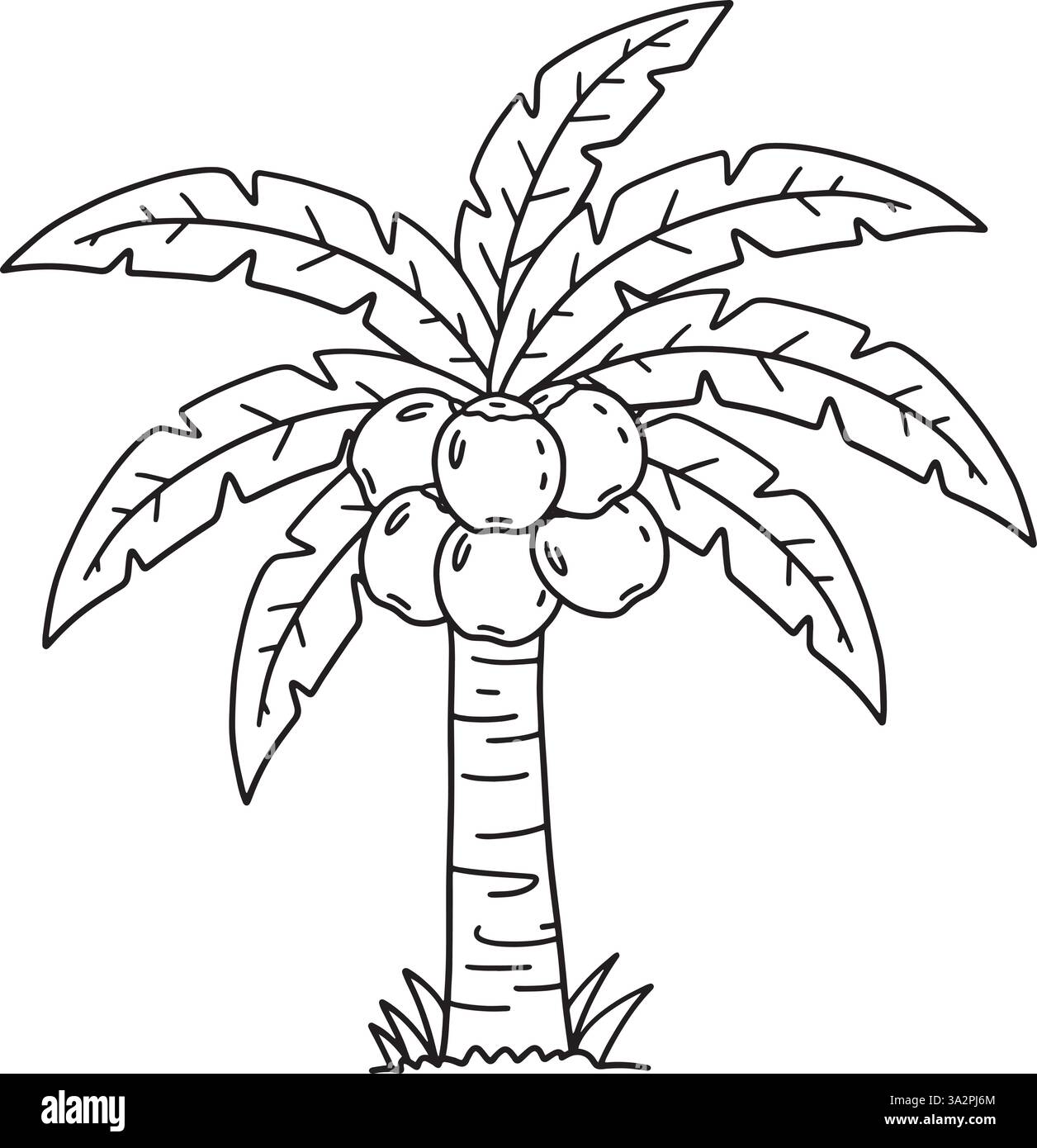 Rounded plant Black and White Stock Photos & Images - Alamy