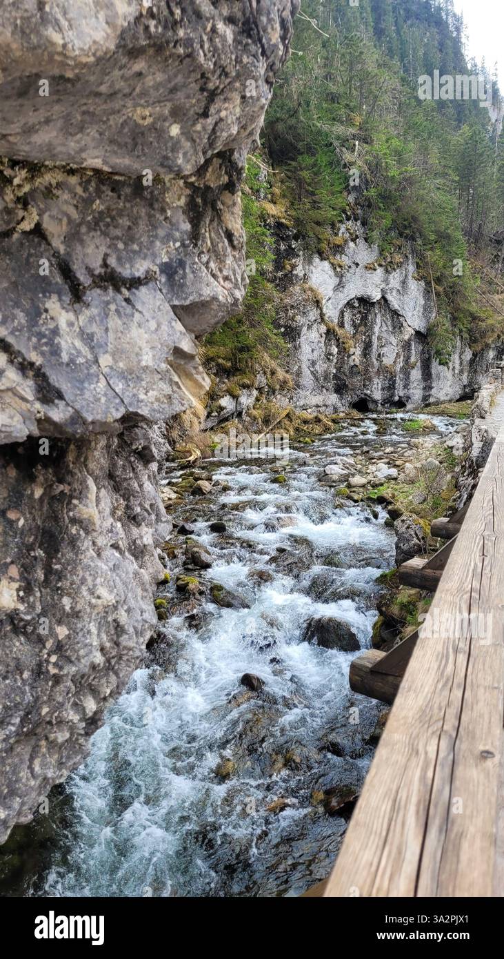 The photograph shows a mountain stream flowing between rocky banks ...