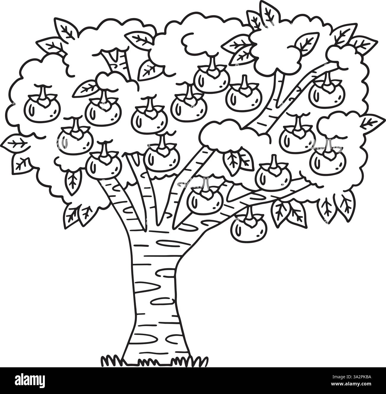Persimmon Tree Fruit Plant Isolated Coloring Page Stock Vector Image ...