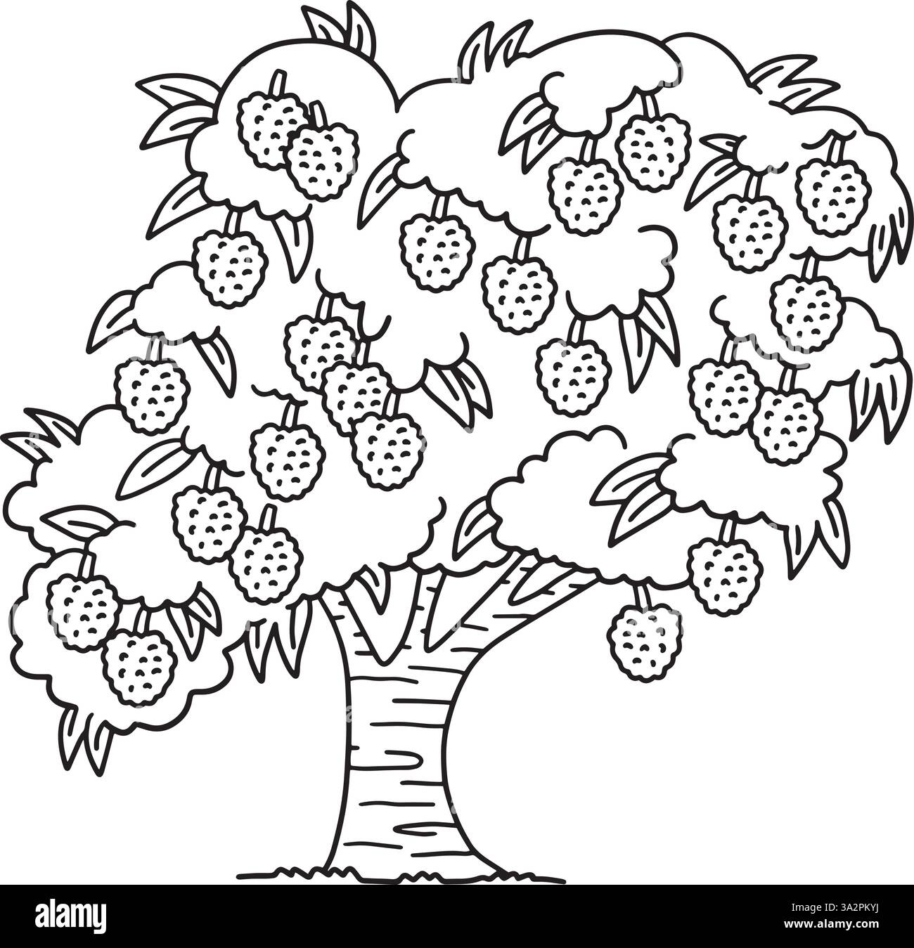 Lychee Tree Fruit Plant Isolated Coloring Page Stock Vector Image & Art ...