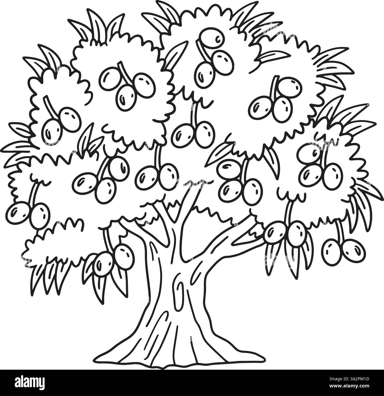 Olive Tree Fruit Plant Isolated Coloring Page Stock Vector Image & Art ...