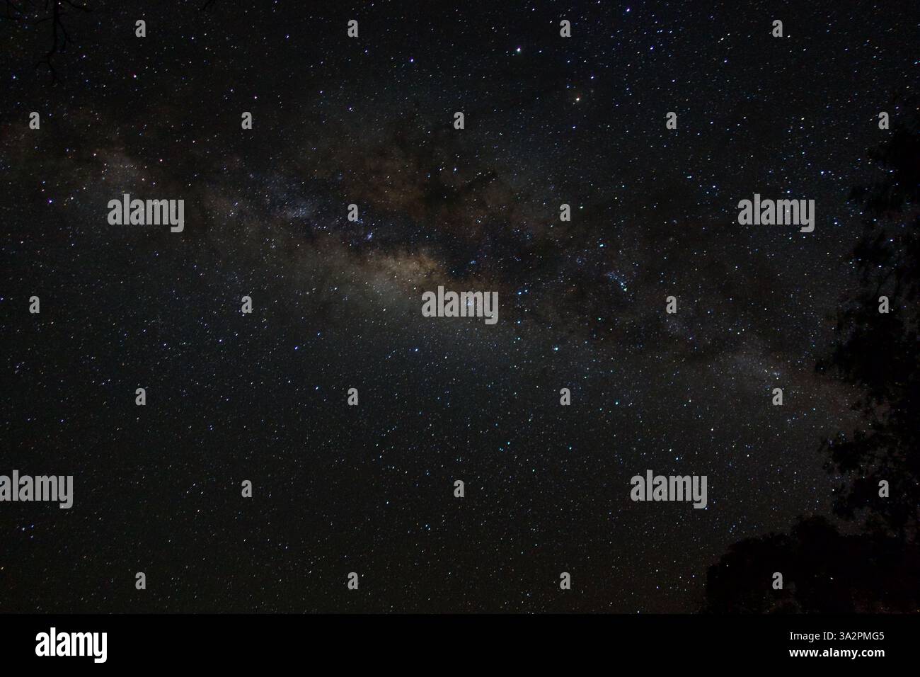 Milky Way galaxy illuminating the night sky, Tarangire National Park ...