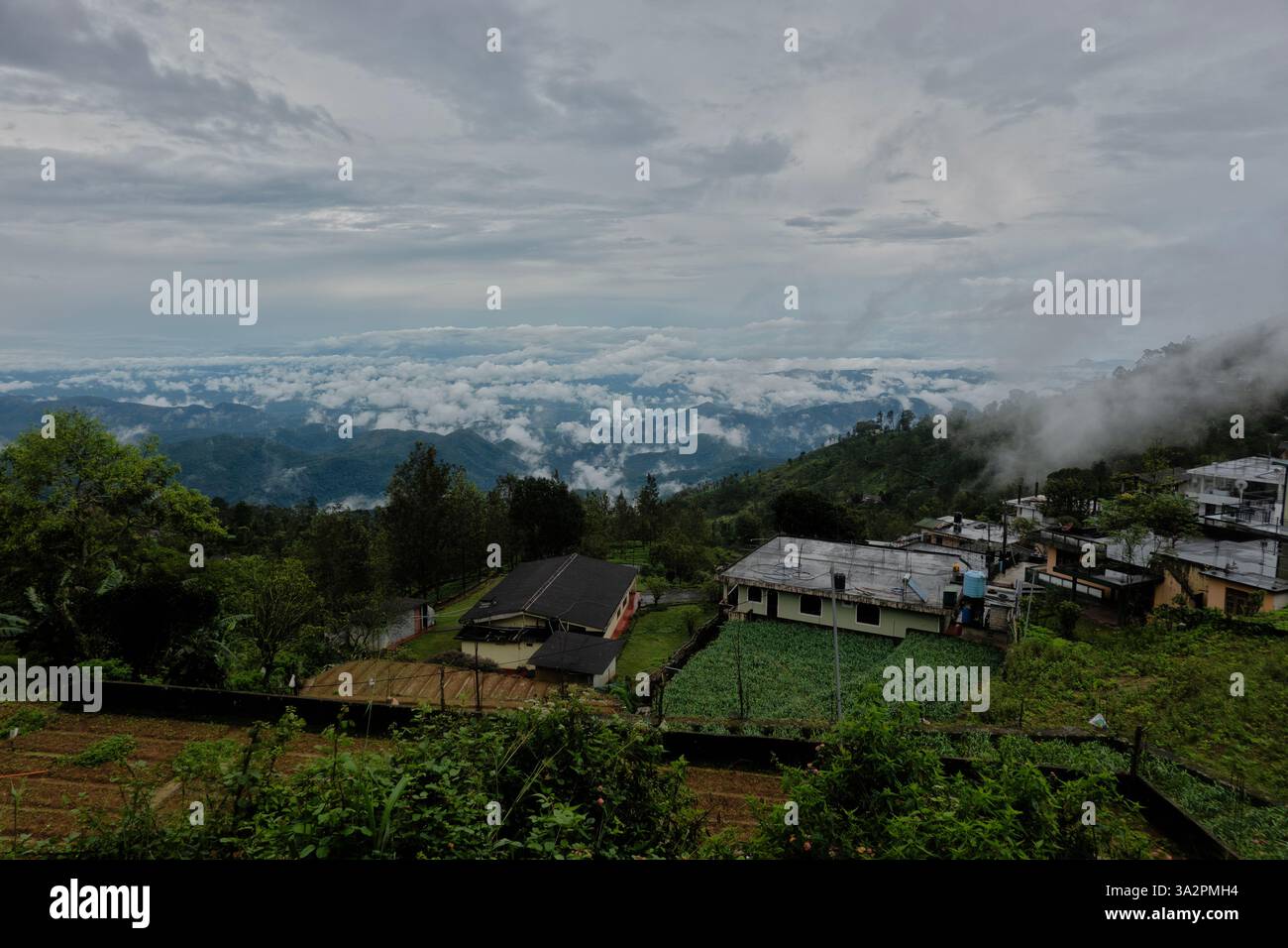 View of the valley and mountains from the misty highlands, Haputale ...