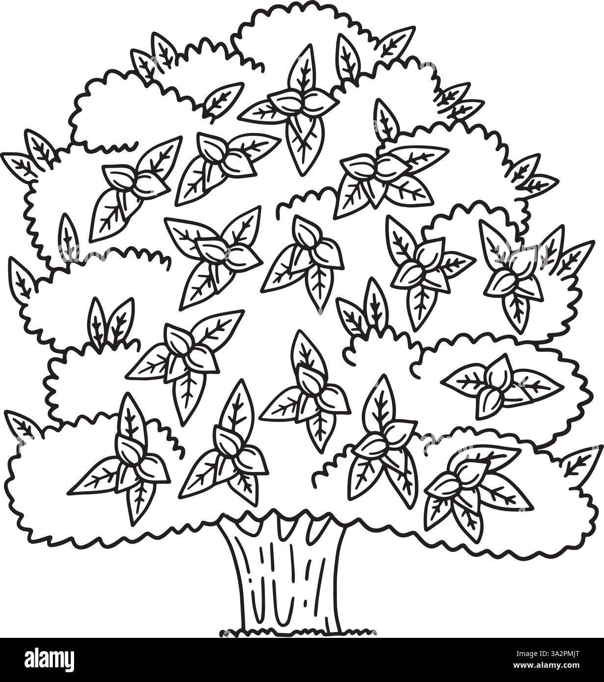 Pecan Tree Fruit Plant Isolated Coloring Page Stock Vector Image & Art ...