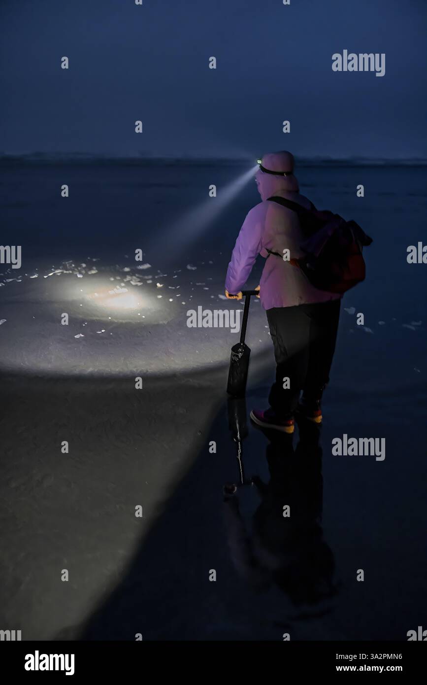 Harvesting Pacific Razor Clams on Pacific Ocean beach at night at Ocean ...