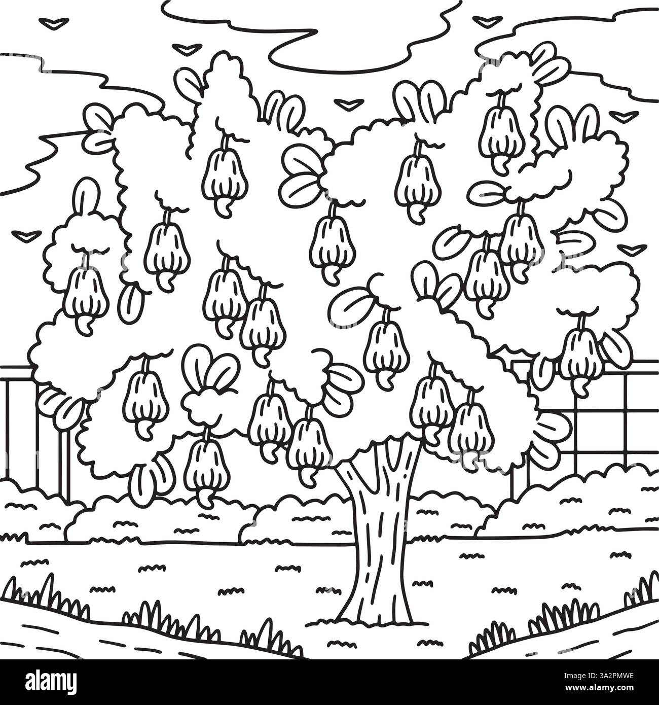 Cashew Tree Fruit Plant Coloring Page for Kids Stock Vector Image & Art ...