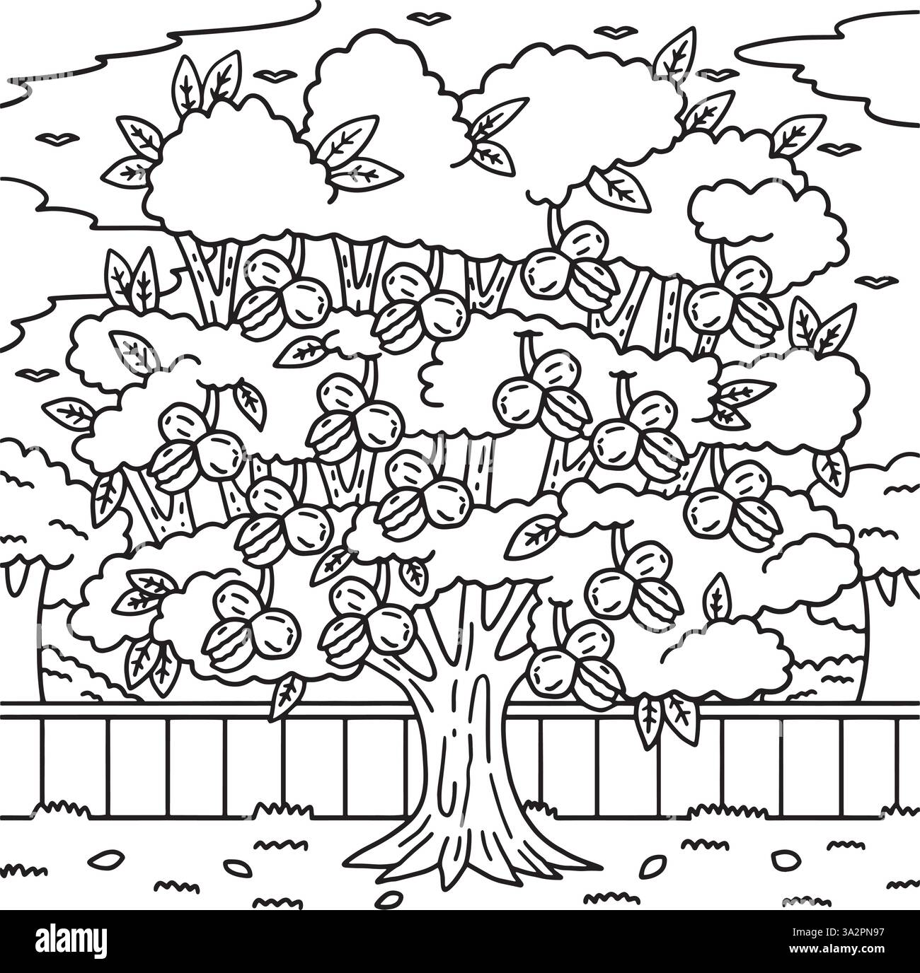Walnut Tree Fruit Plant Coloring Page for Kids Stock Vector Image & Art ...