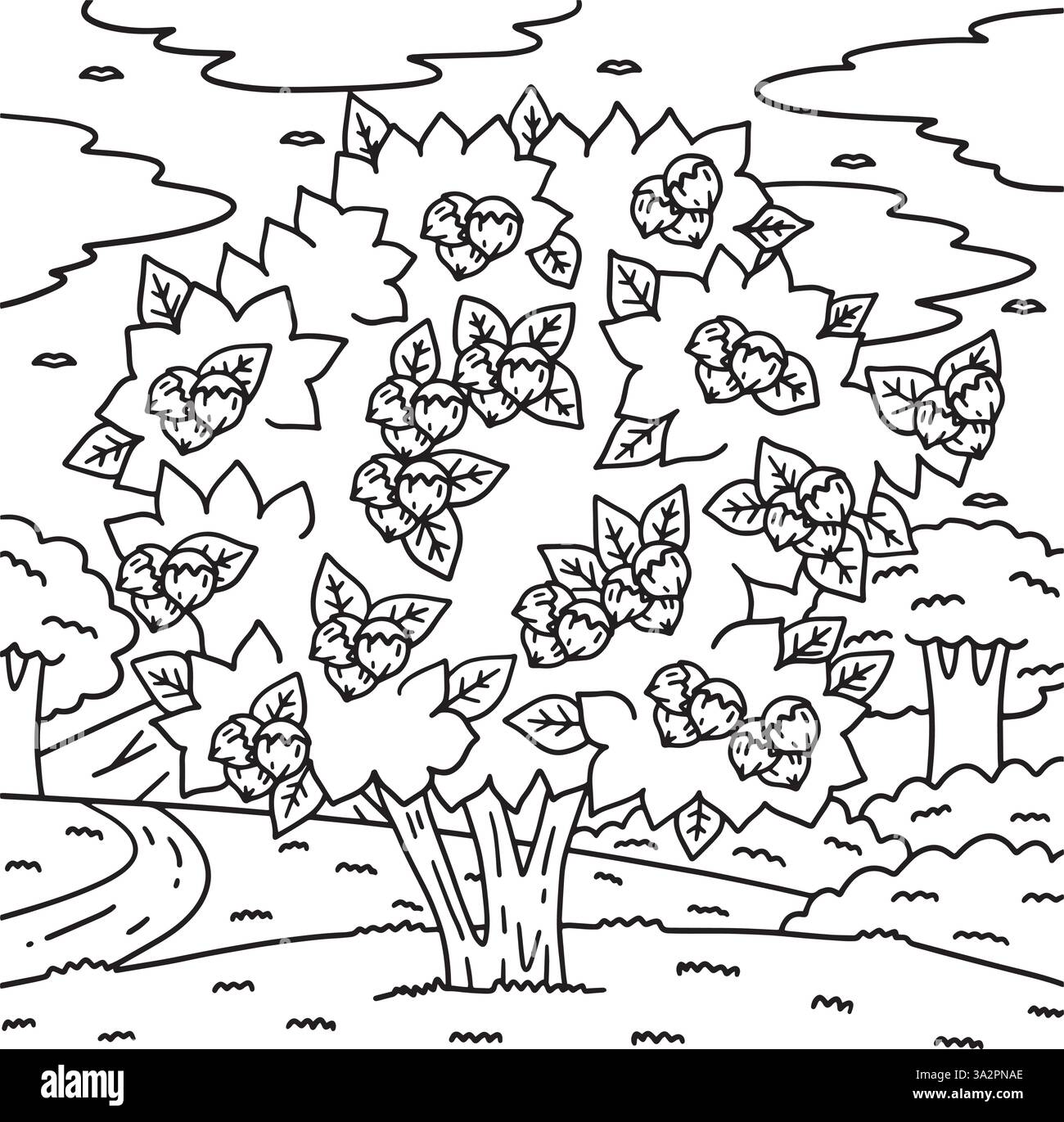 Plant bearing fruits Cut Out Stock Images & Pictures - Alamy