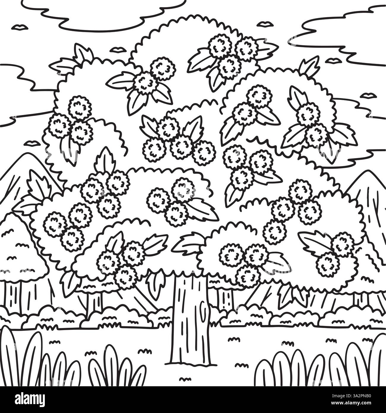 Chestnut Tree Fruit Plant Coloring Page for Kids Stock Vector Image ...