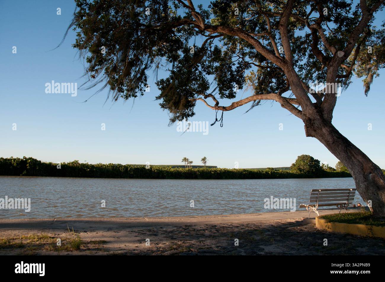 Bench at Riverside Stock Photo - Alamy
