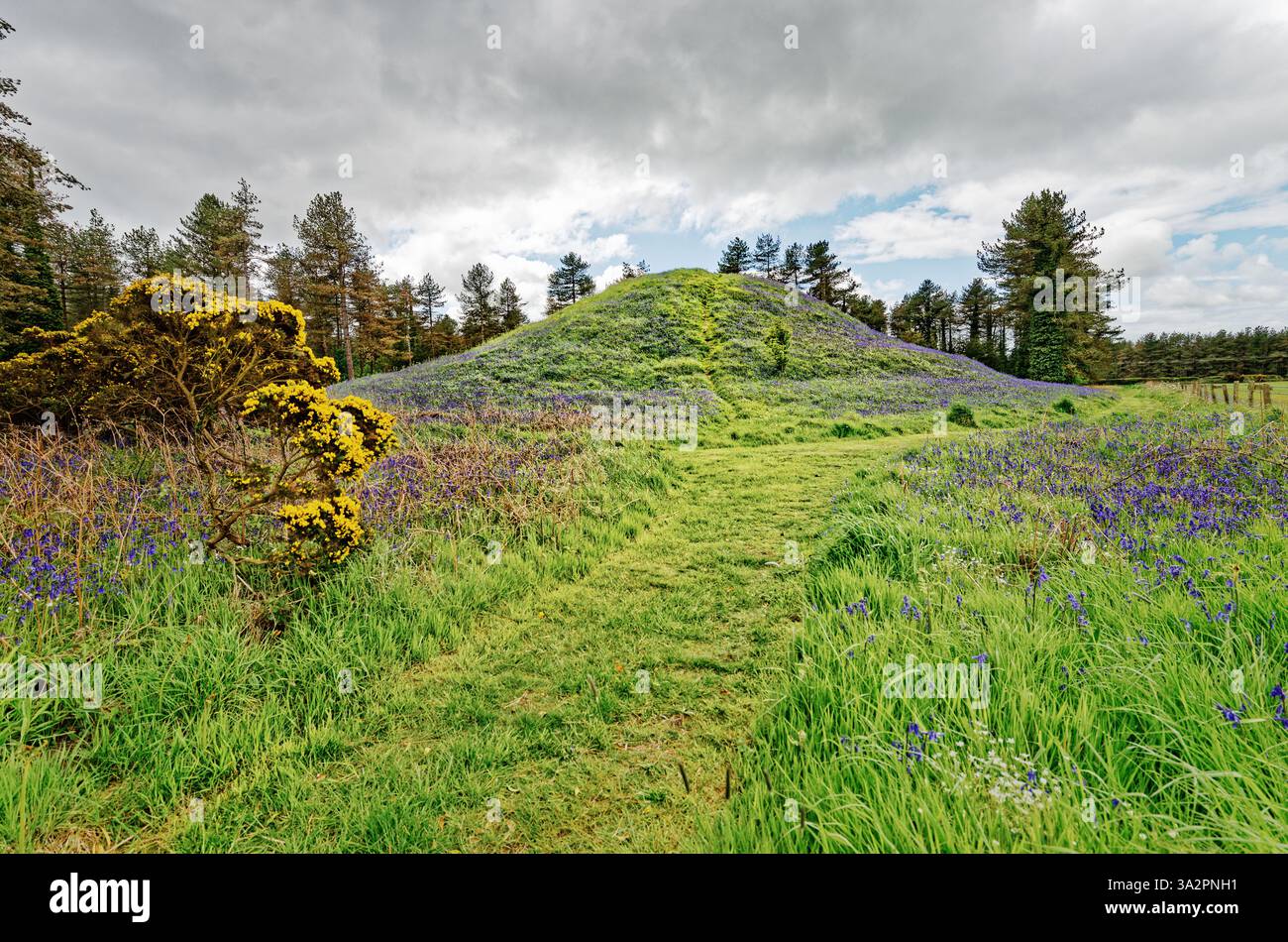 Droughdool Mote prehistoric Neolithic round mound at Dunragit, S W ...