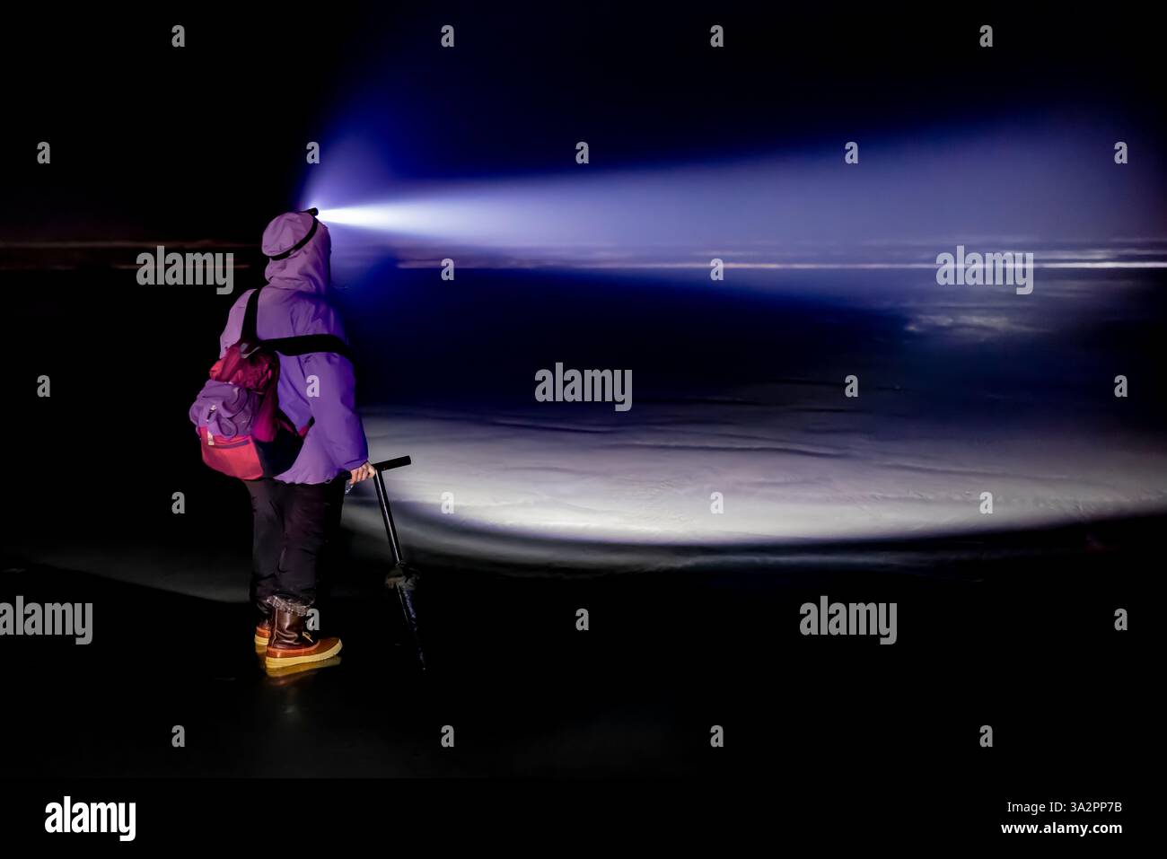 Harvesting Pacific Razor Clams on Pacific Ocean beach at night at Ocean ...