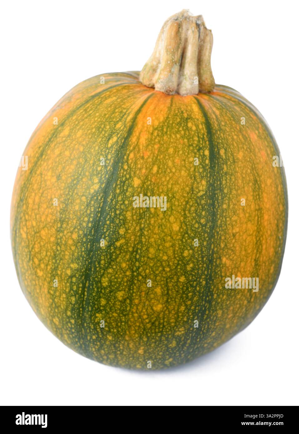 Autumn ripening Cut Out Stock Images & Pictures - Alamy