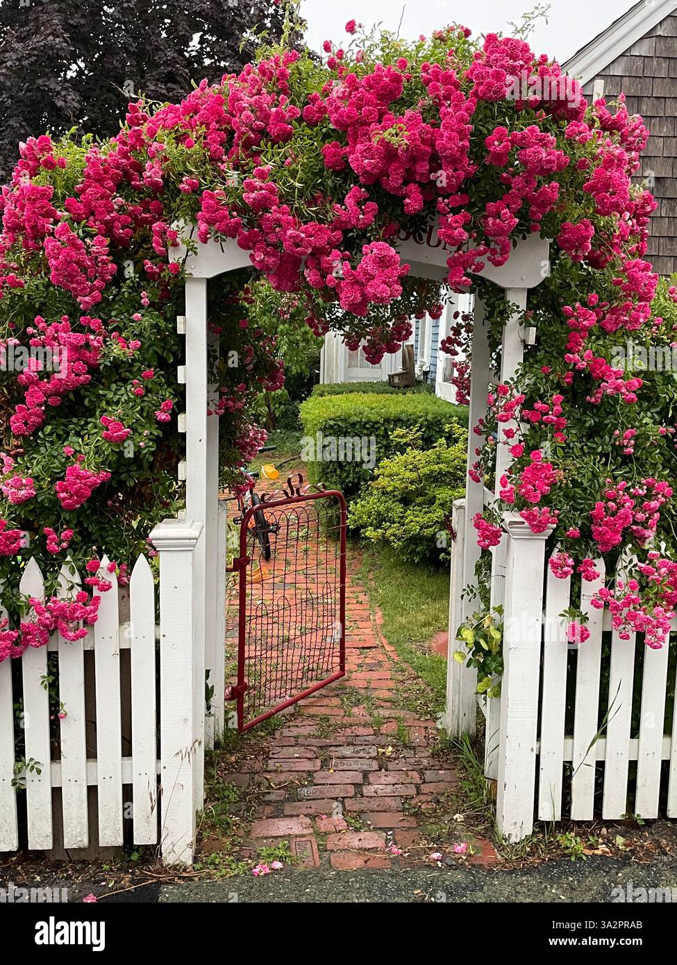 Unmitred states of america hi-res stock photography and images - Alamy