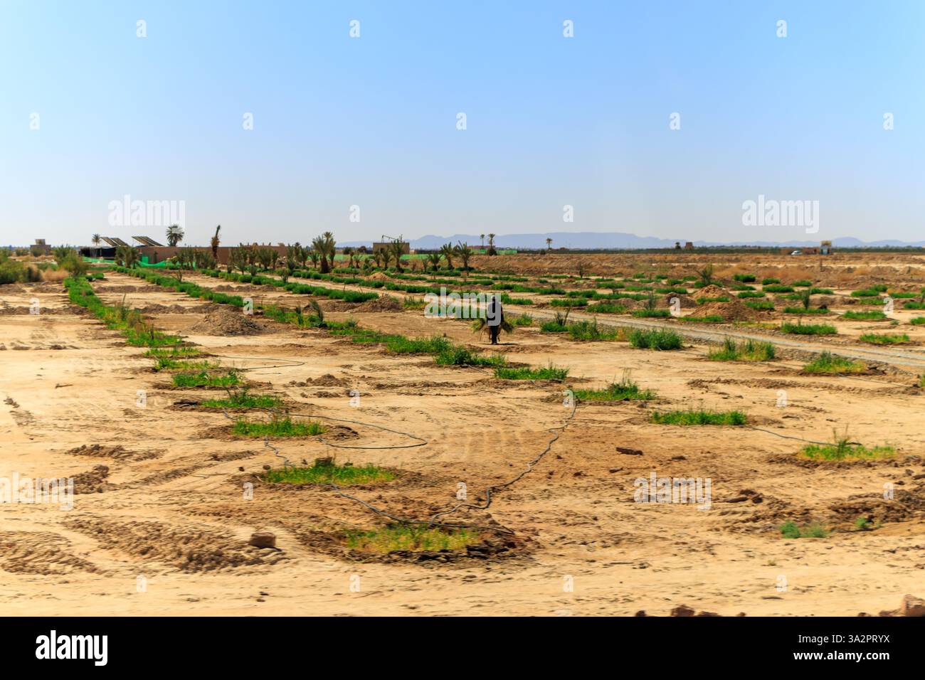 Tree planting with buildings hi-res stock photography and images - Alamy