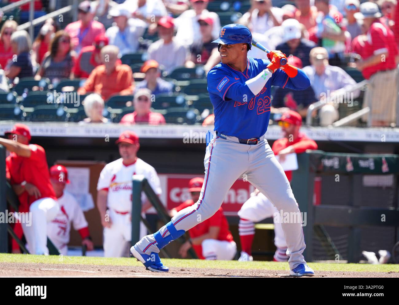 JUPITER, FL - MARCH 12: New York Mets right fielder Juan Soto (22) bats ...