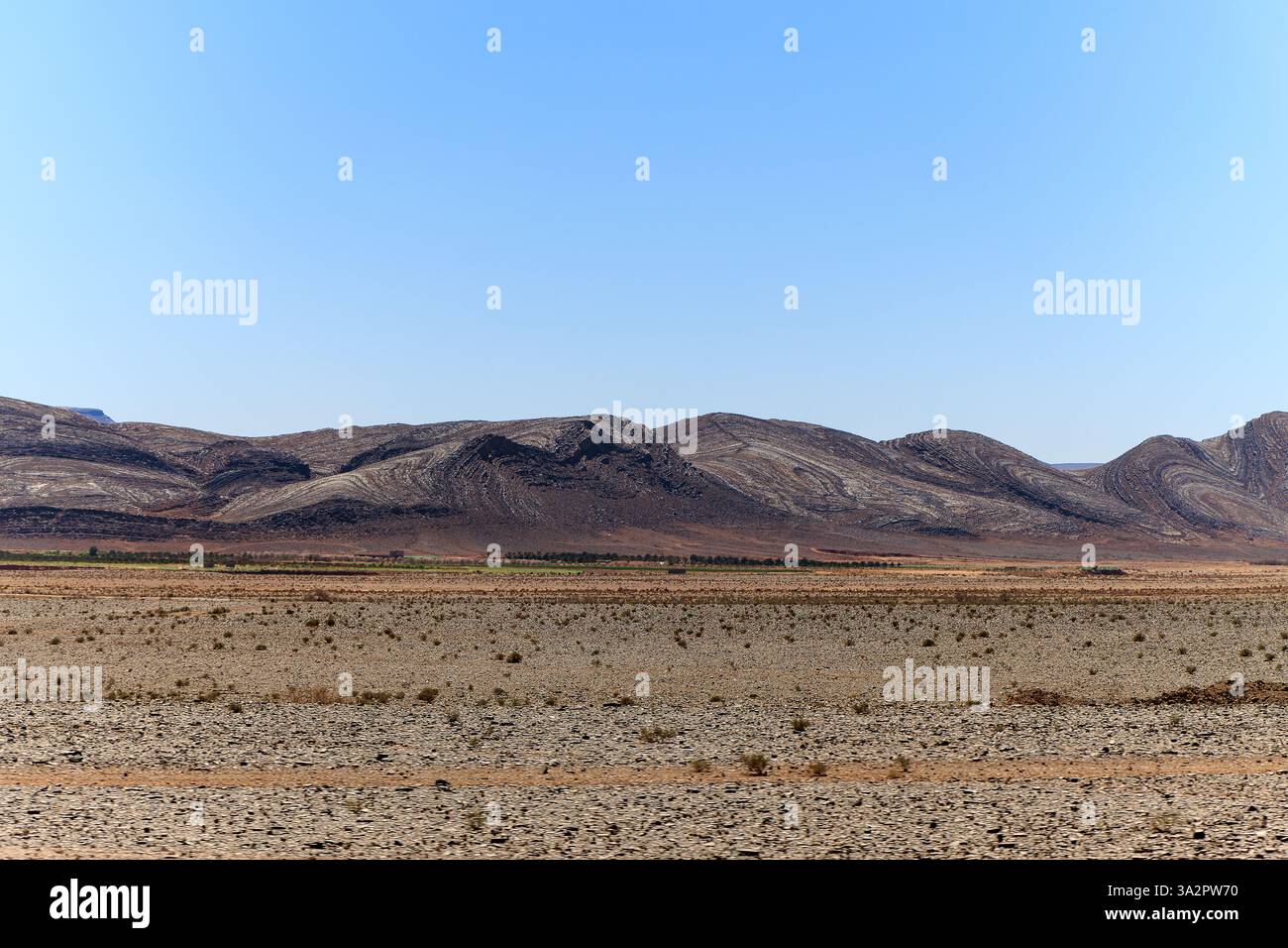 The view from the oasis of Tinejdad in the southeast of Morocco Stock Photo - Alamy