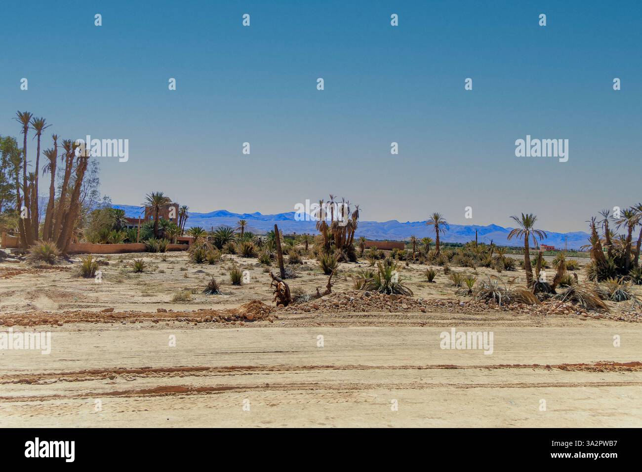 The view from the oasis of Tinejdad in the southeast of Morocco Stock Photo - Alamy