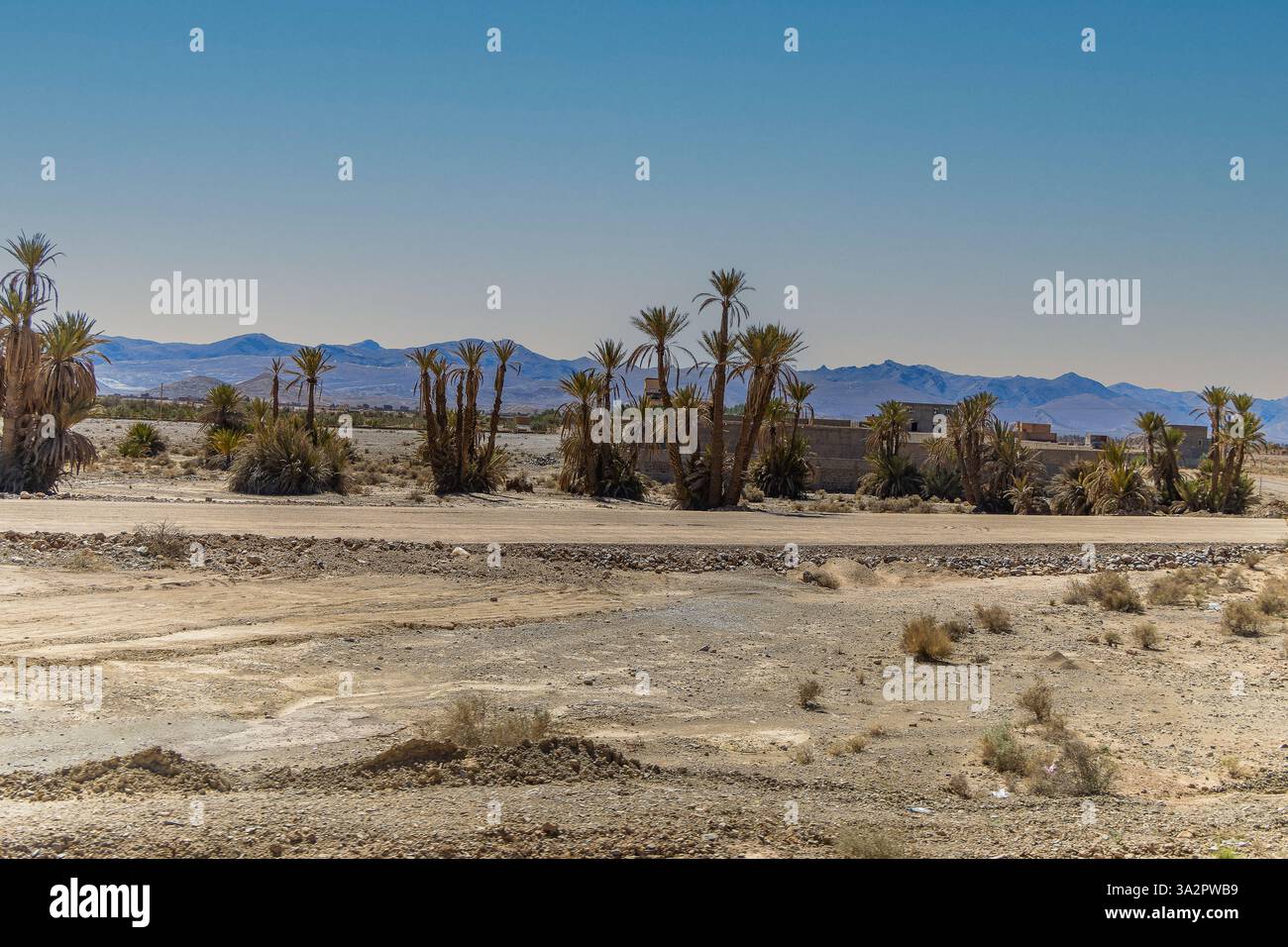 The view from the oasis of Tinejdad in the southeast of Morocco Stock Photo - Alamy