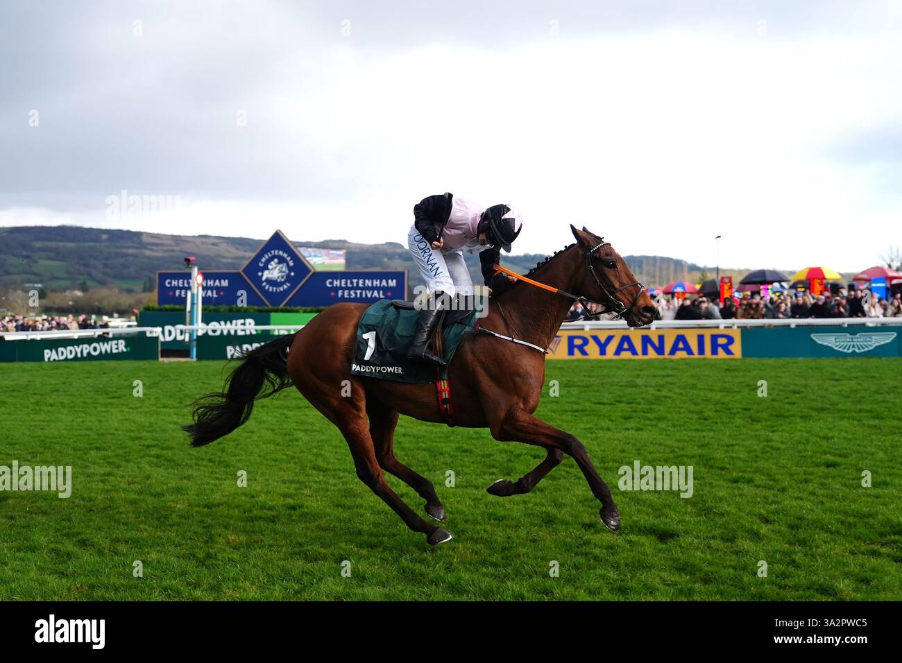 Bob Olinger ridden by Rachael Blackmore on their way to winning the ...