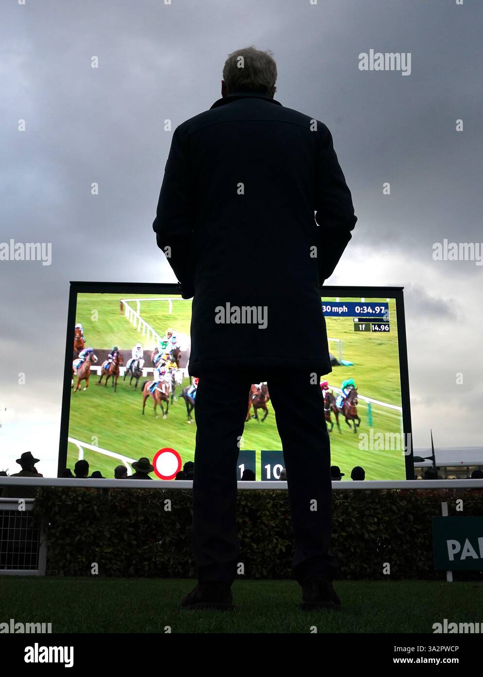 Harry Redknapp, owner of horse Shakem Up'arry watches the TrustATrader ...