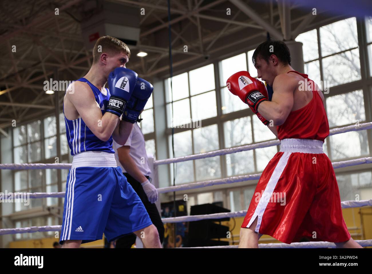 ODESSA, UKRAINE - March 10, 2025: Ukrainian Boxing Cup among men and ...