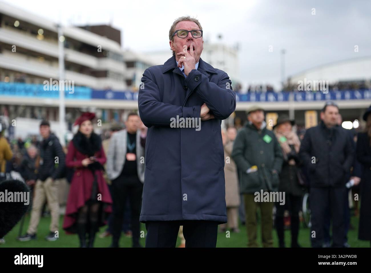 Harry Redknapp, owner of horse Shakem Up'arry, reacts as he watches the ...