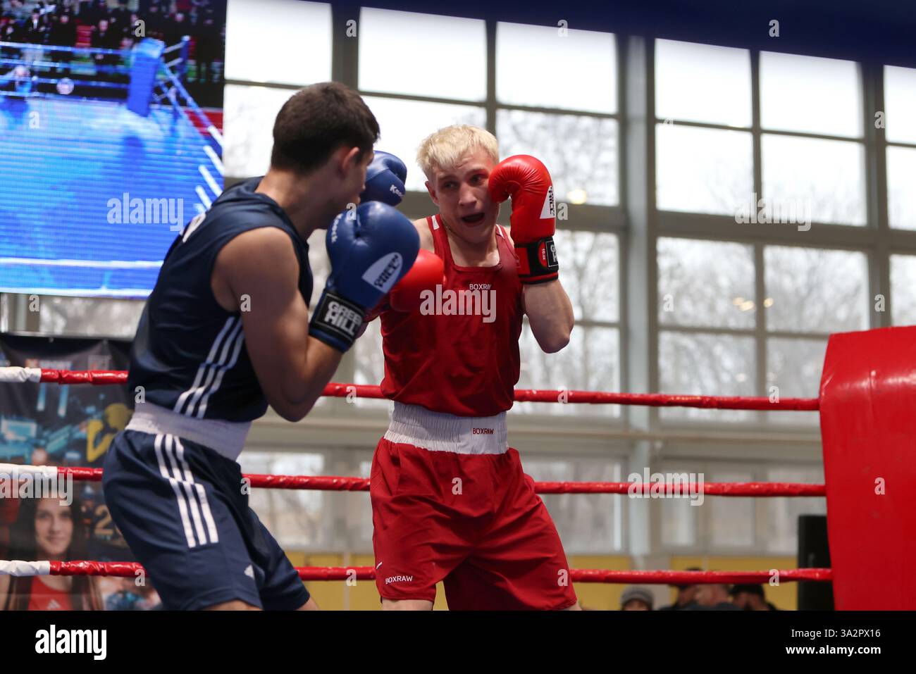 ODESSA, UKRAINE - March 10, 2025: Ukrainian Boxing Cup among men and ...