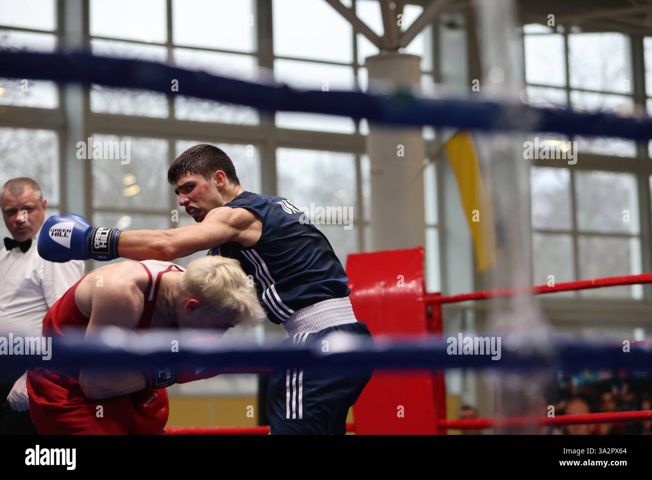 ODESSA, UKRAINE - March 10, 2025: Ukrainian Boxing Cup among men and ...