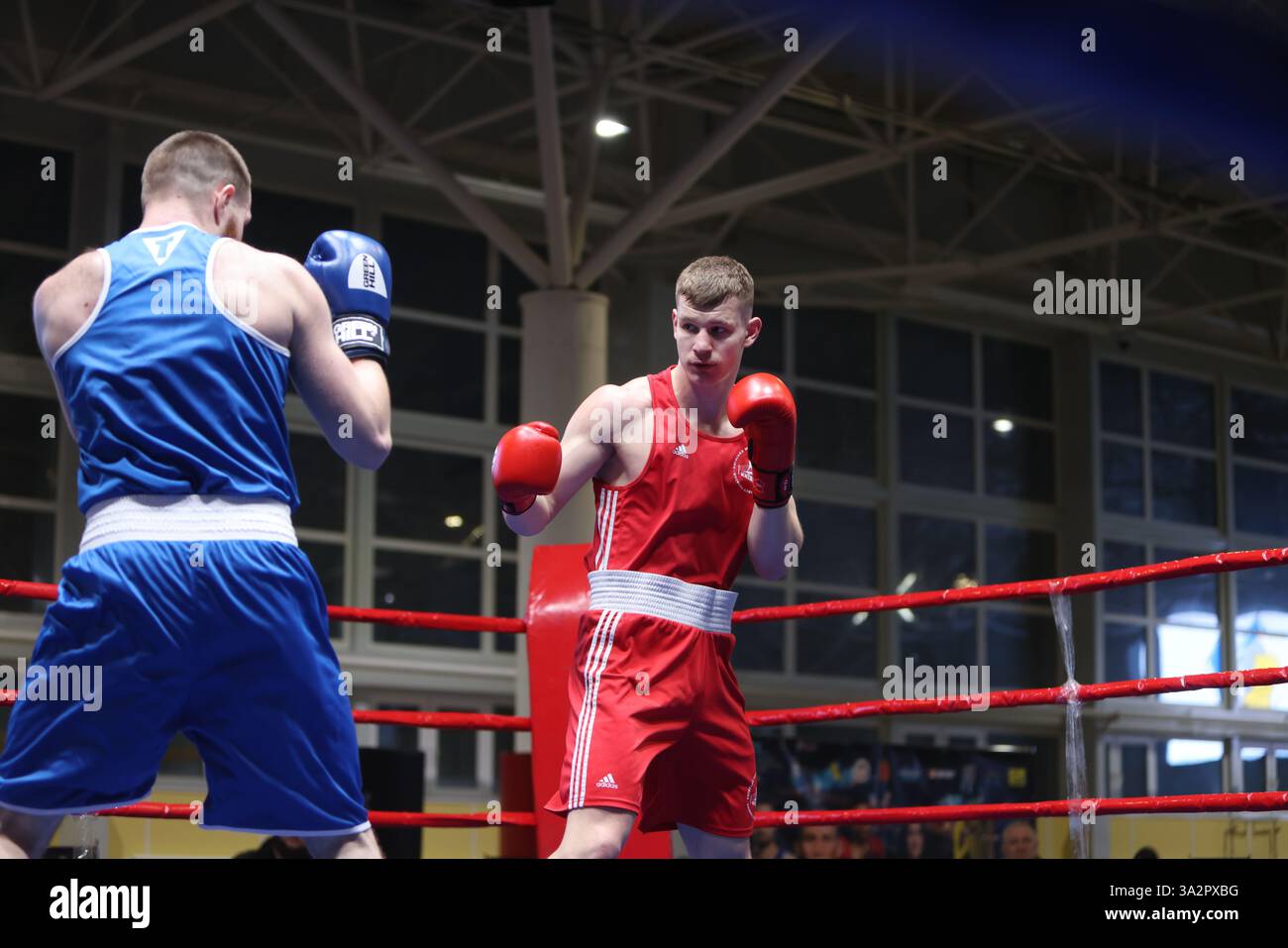 ODESSA, UKRAINE - March 10, 2025: Ukrainian Boxing Cup among men and ...
