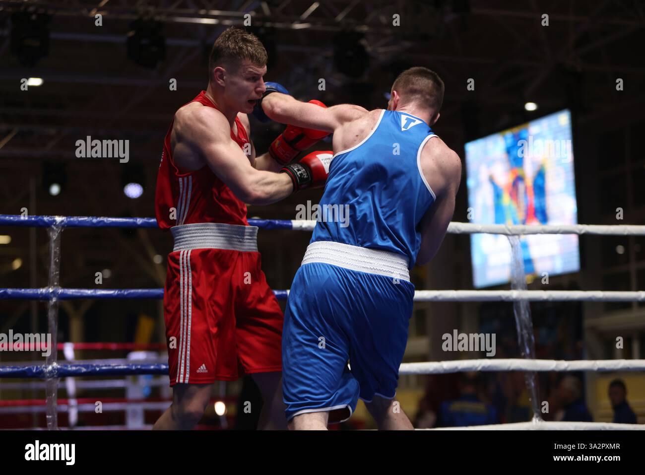 ODESSA, UKRAINE - March 10, 2025: Ukrainian Boxing Cup among men and ...