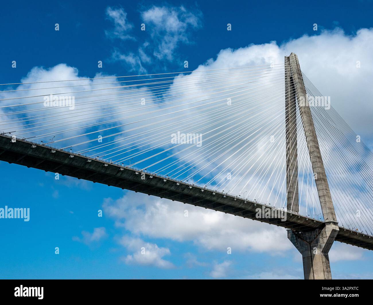 The Atlantic Bridge is a double-pylon, double-plane bridge with a main ...