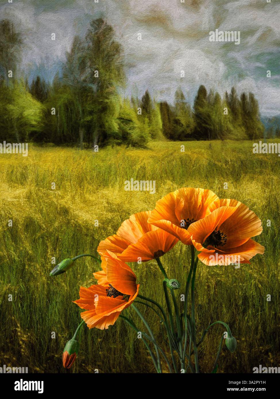 Poppies in art hi-res stock photography and images - Alamy