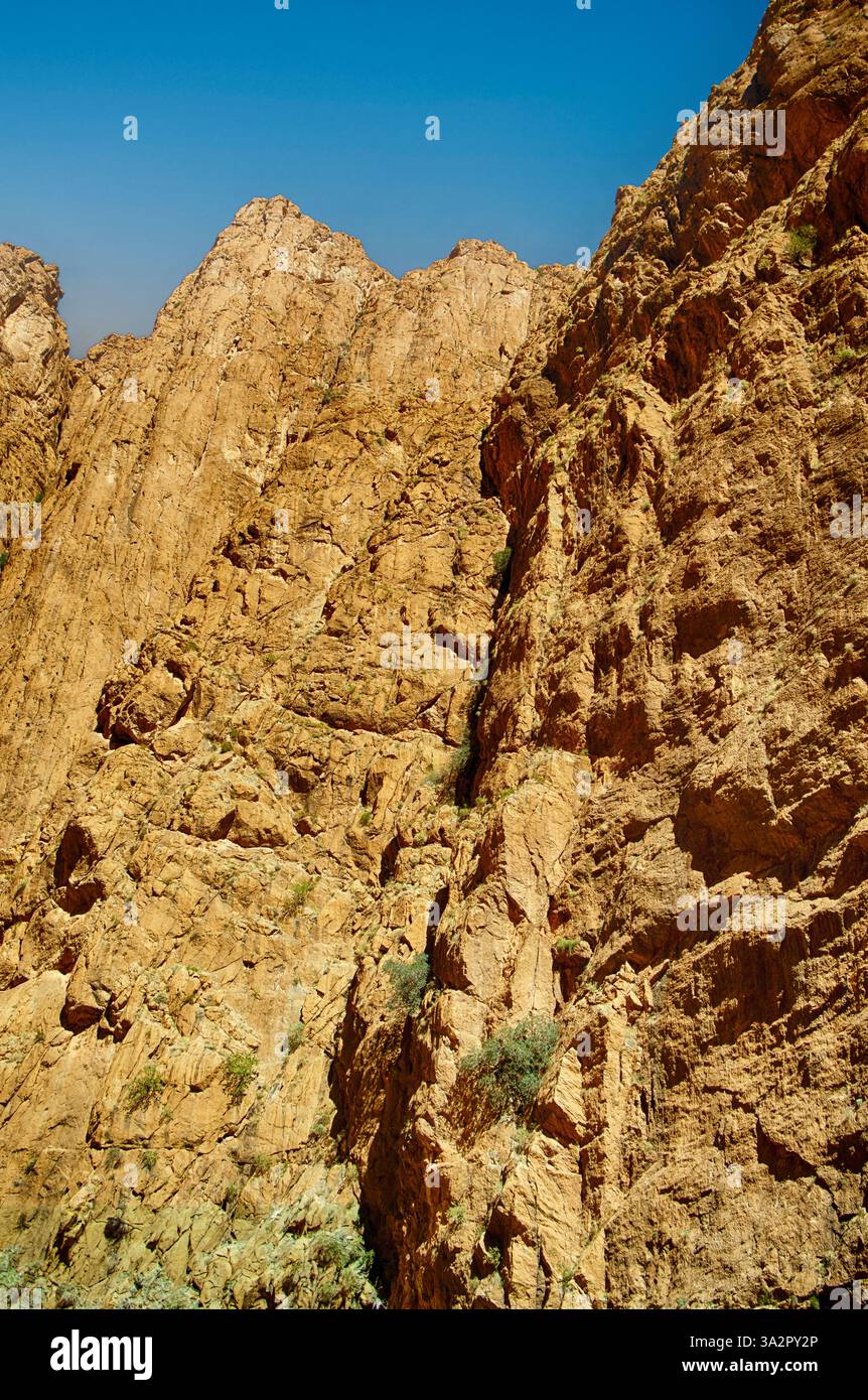 The Todgha Gorges, a series of limestone river canyons, or wadi, in the ...