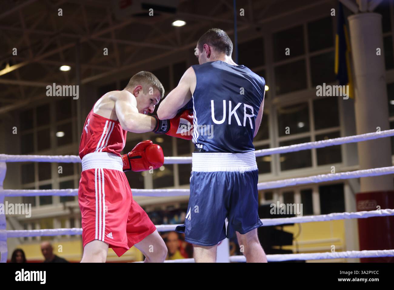 ODESSA, UKRAINE - March 10, 2025: Ukrainian Boxing Cup among men and ...