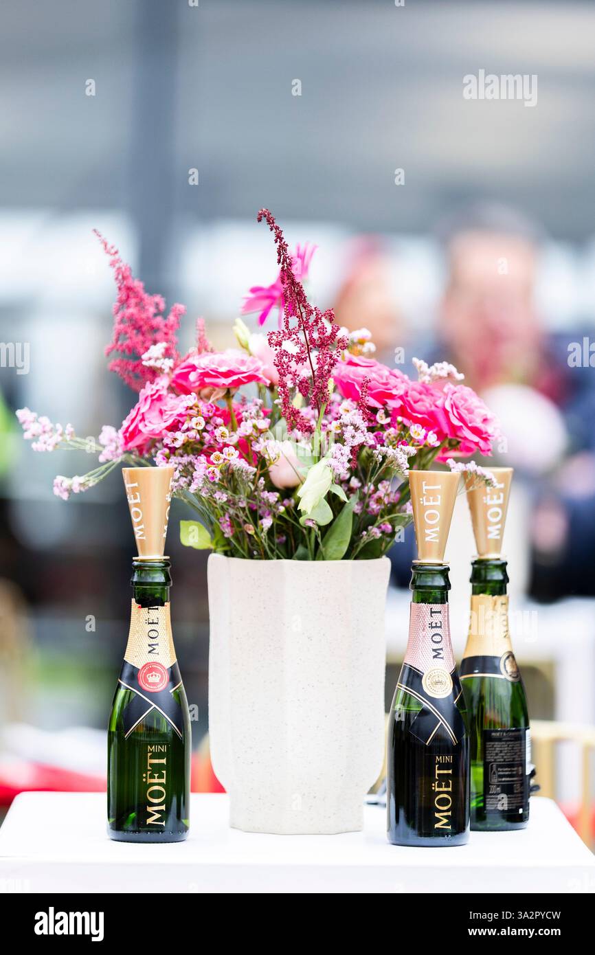 Cheltenham, England. March 13, 2025. General views of mini Champagne ...