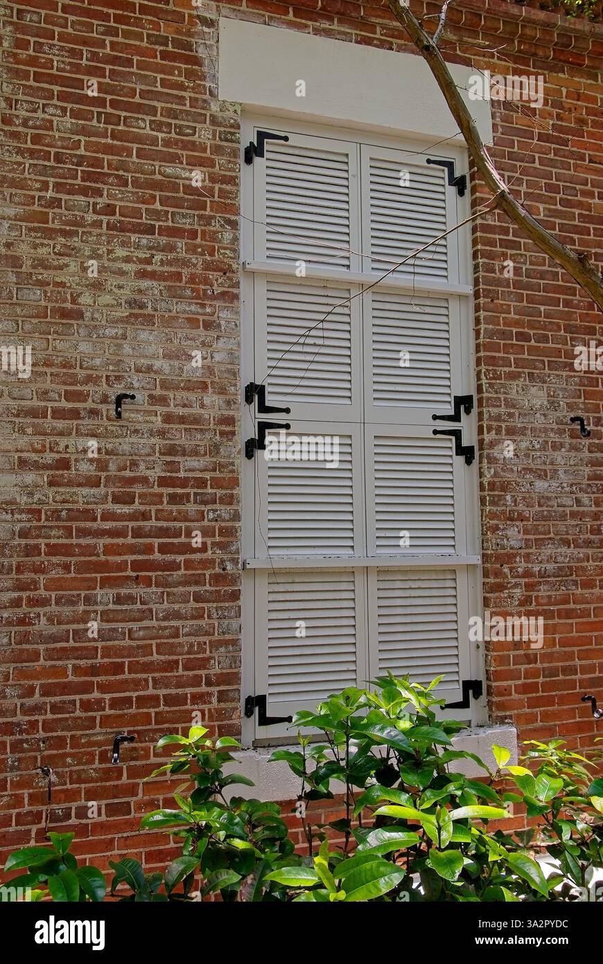Brick wall with closed louvered shuttered window Stock Photo - Alamy