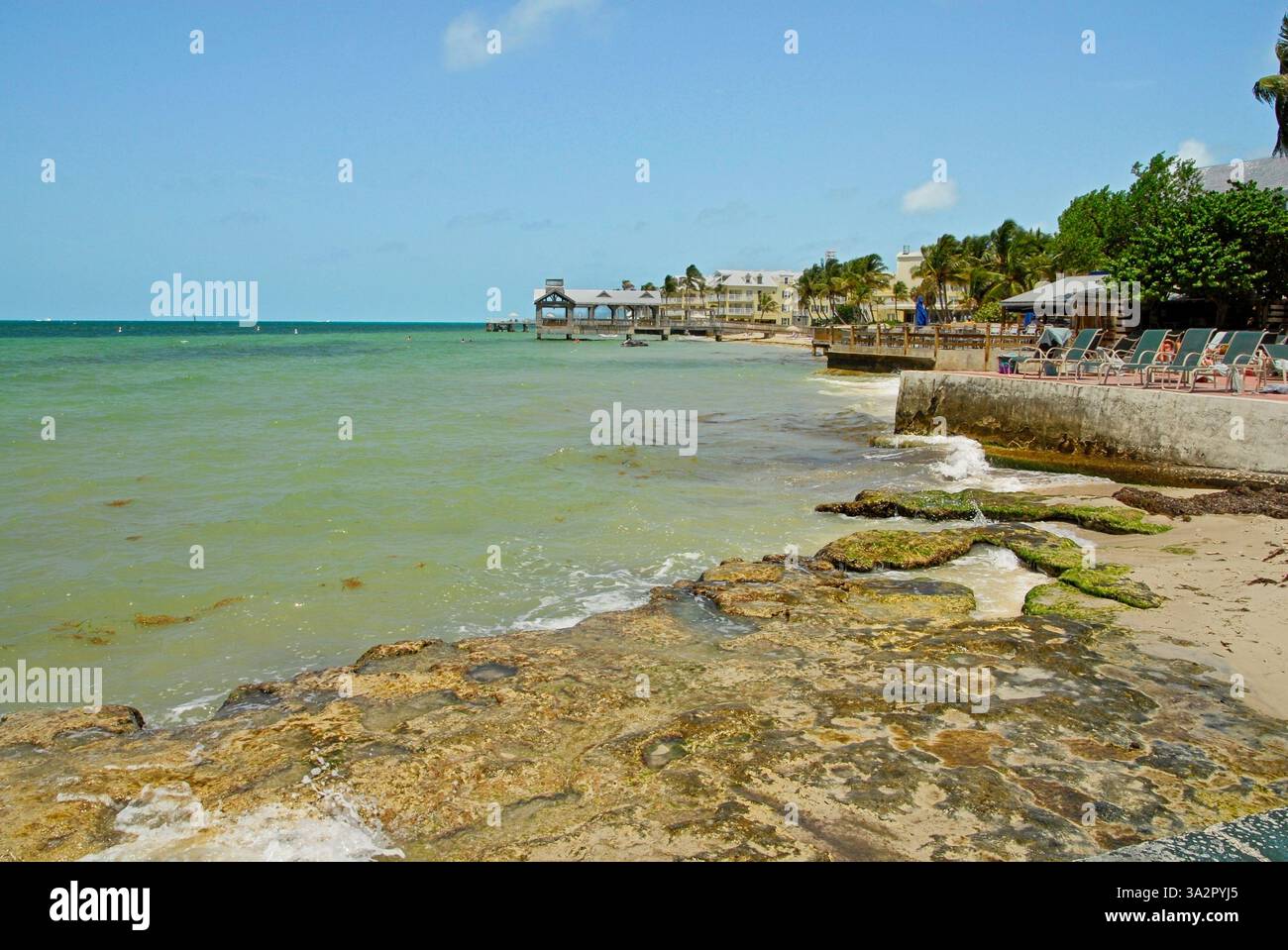 Limestone reef forming the southern shore of Key west Florida coast ...