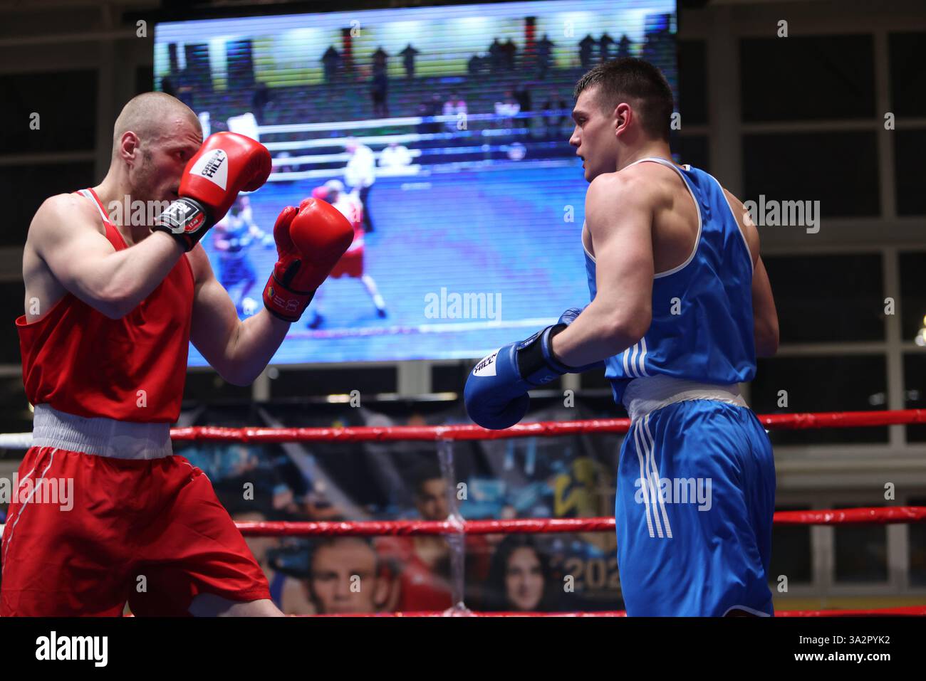 ODESSA, UKRAINE - March 10, 2025: Ukrainian Boxing Cup among men and ...