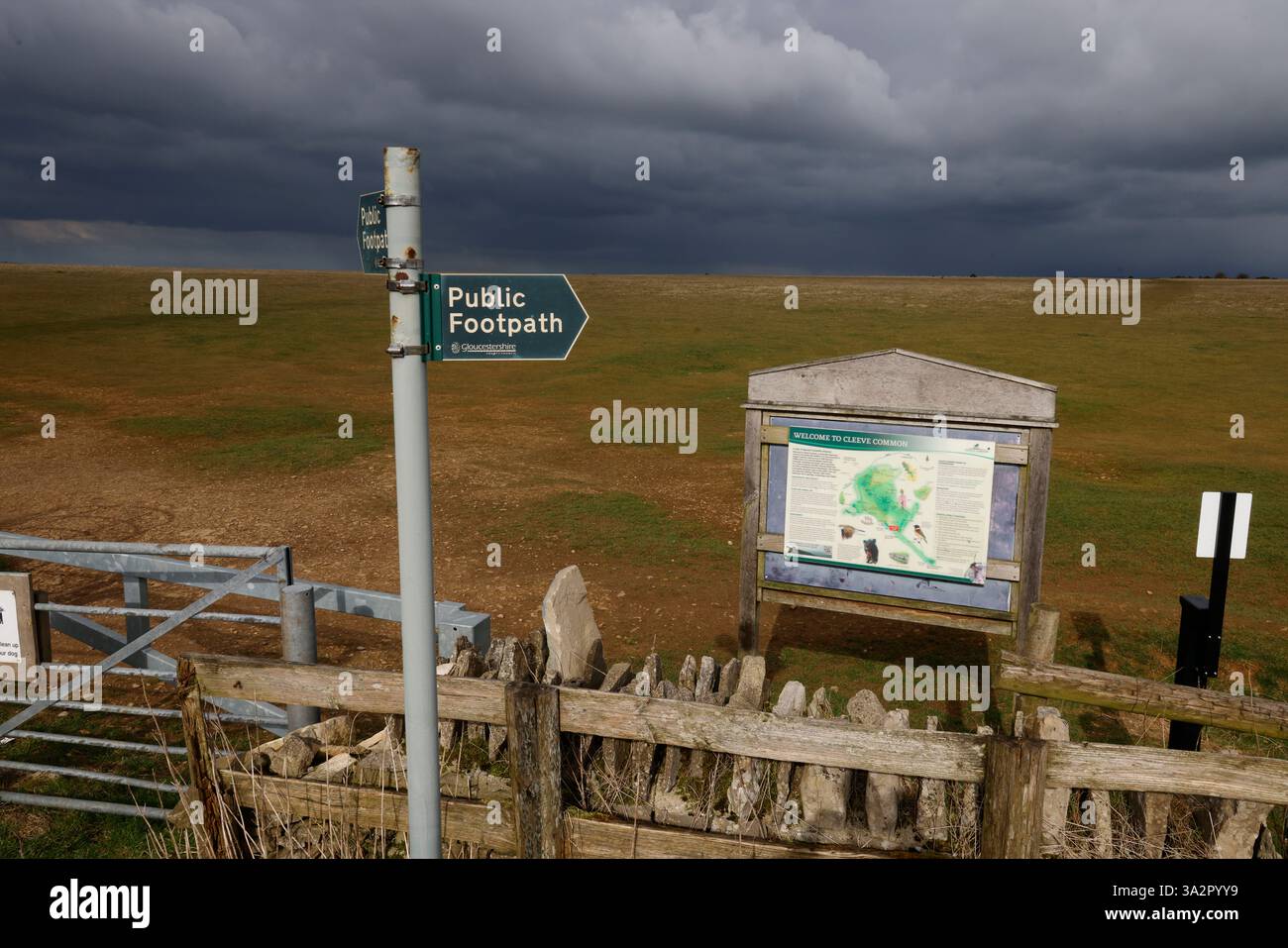 Cleeve Common, on Cleeve Hill, Cheltenham, Gloucestershire, England. 13 ...